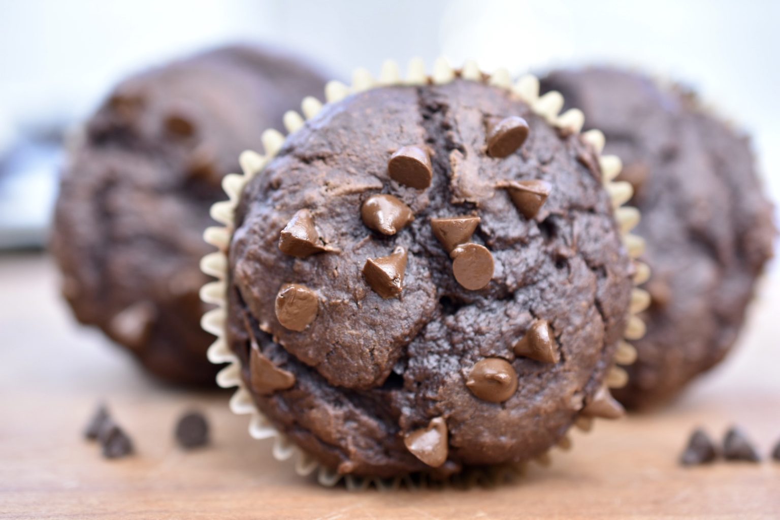 100 Calorie Chocolate Muffins - My Sweet Precision