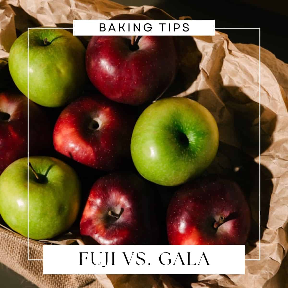 Fuji vs Gala Apples - My Sweet Precision